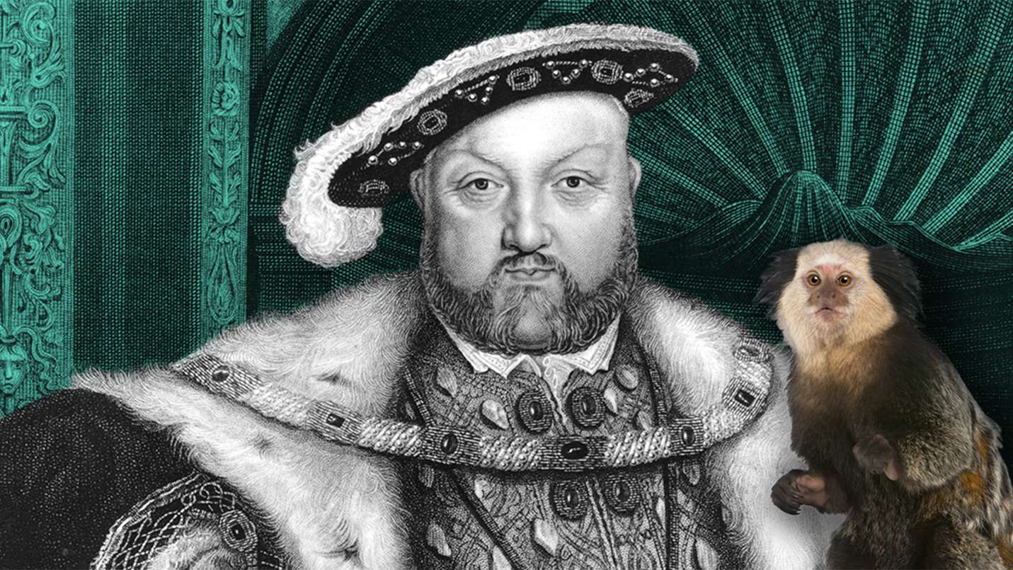 Top 9 Bizarre Objects That Henry VIII Owned? - Vermont Republic