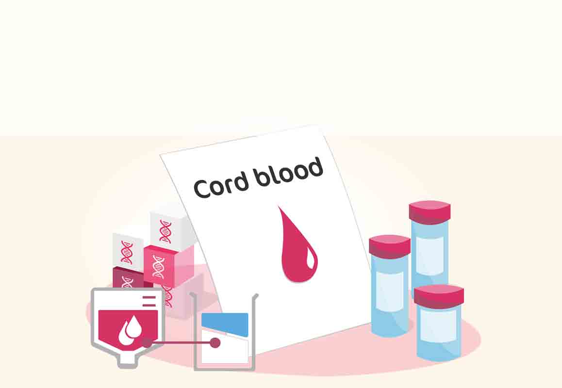Things to Keep in Mind Where Looking for a Cord Blood Bank Facility ...