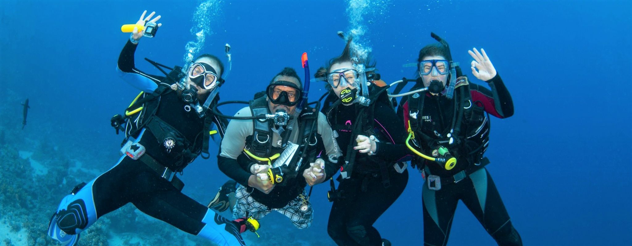 Best 5 Activities You Must Try During Your Indonesia Liveaboard Trip ...