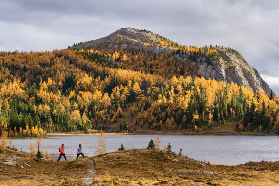 Embrace the Beauty of Fall: 10 Outdoor Activities to Savor Autumn's ...